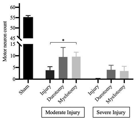 A Decrease In The Neuroprotective Effects Of Acute Spinal Cord