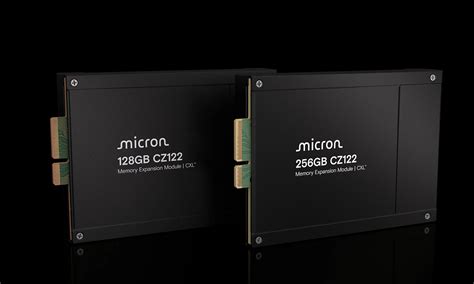 Technology Leadership Micron Technology Inc