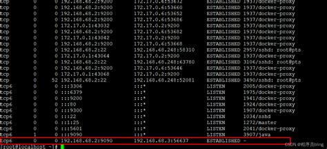 socket本质、实战演示两个进程建立tcp连接通信的过程 socket连接 csdn博客