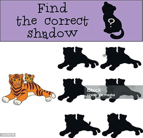어린이용 게임 올바른 Shadow 구슬눈꼬리 타이거 아기용 검색에 대한 스톡 벡터 아트 및 기타 이미지 검색 교육 귀여운