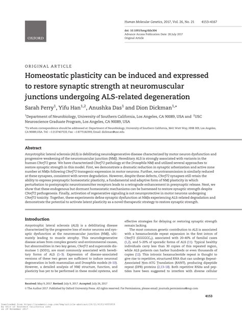 PDF Homeostatic Plasticity Can Be Induced And Expressed To Restore