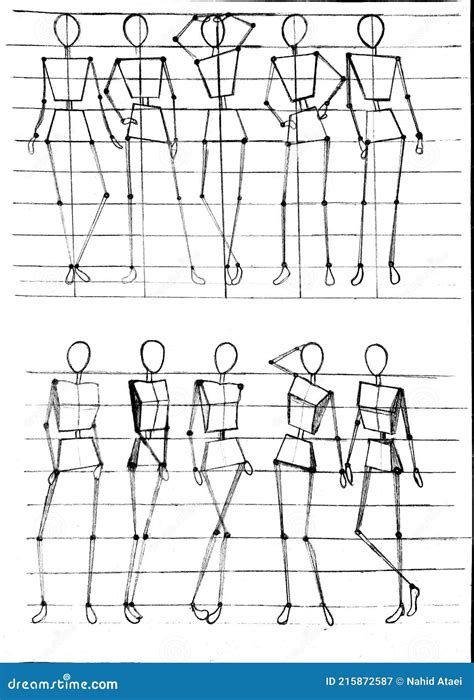 Desenho Da Anatomia Do Corpo Humano Mais Uma Mulher Ilustração Stock