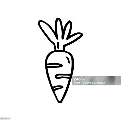 胡蘿蔔蔬菜向量塗鴉線藝術插圖貼紙圖示向量圖形及更多健康的生活方式圖片 健康的生活方式 剪裁圖 園藝 Istock