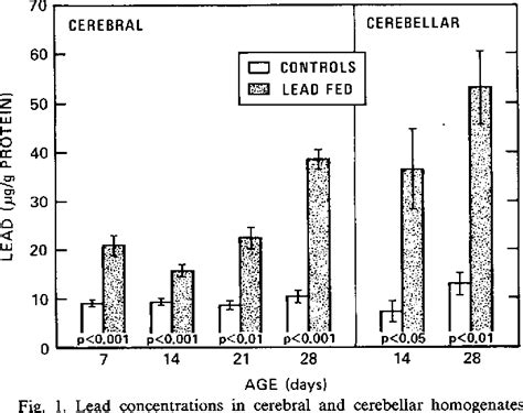 Figure 2 From The Pathogenesis Of Lead Encephalopathy In The Rat Pup
