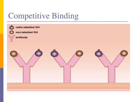 Ppt Basic Immunologic Procedures Powerpoint Presentation Free