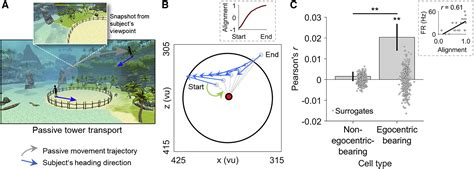 A Neural Code For Egocentric Spatial Maps In The Human Medial Temporal Lobe Neuron