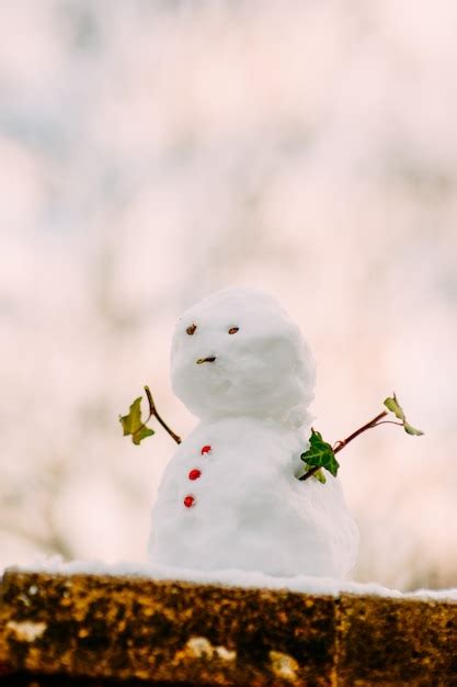 Boneco Neve Natureza Imagens Download Grátis no Freepik