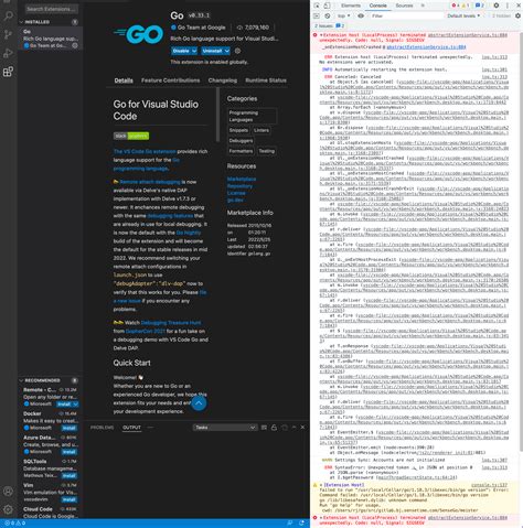 Xtools Tools Installupdate Error In Vscode · Issue 2279 · Golangvscode Go · Github