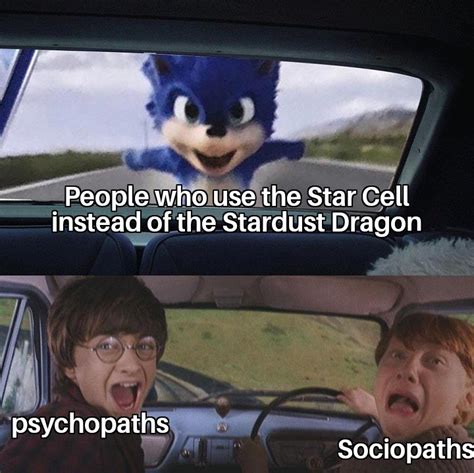 Fatherless Behavior Rterrariamemes