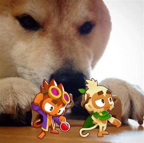 Btd6 Community Rn Rbtd6