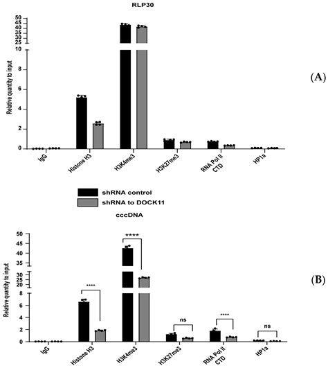 Viruses Free Full Text Super Resolution Microscopy Analysis Of