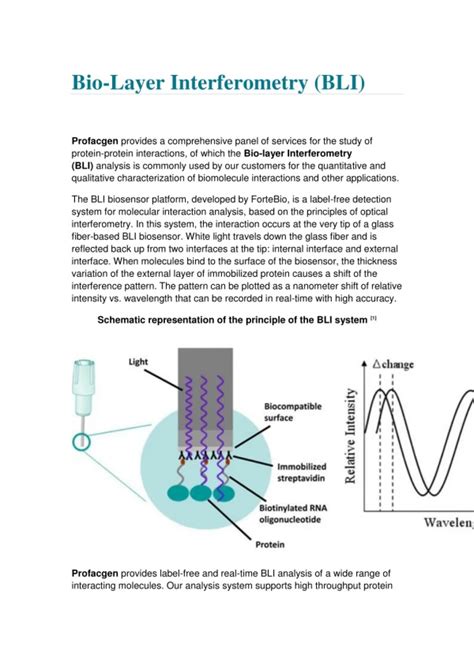 Ppt Bio Digester An Overview Powerpoint Presentation Free Download