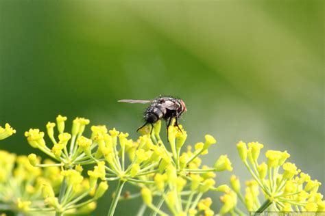 Canon 550D | Kushnerov.com ~ Иллюстрированный блог