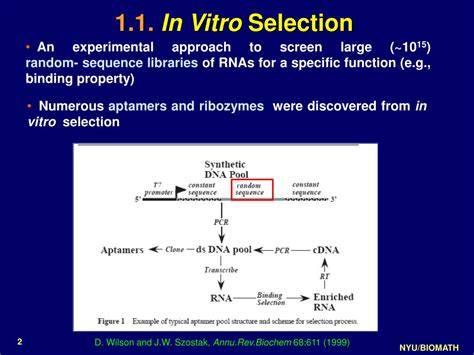 Ppt R Ag P Ools Rna As Graph Pools A Web Server To Assist The