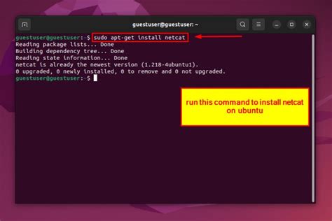 how to use the netcat command in linux [6 best uses]