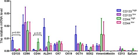 The Mrna Expression Level Of 12 Putative Csc Related Markers In The Download Scientific Diagram