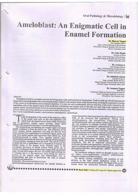 Pdf Ameloblast An Enigmatic Cell In Enamel Formation