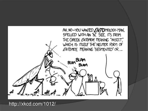 Ppt The Lexicon Powerpoint Presentation Free Download Id 1110355