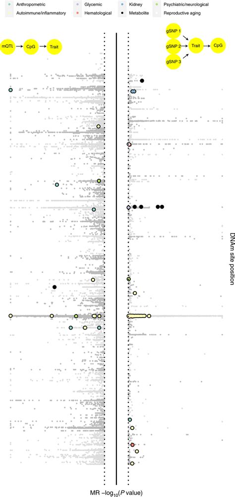 Identifying Putative Causal Relationships Between Sites And Traits Download Scientific Diagram