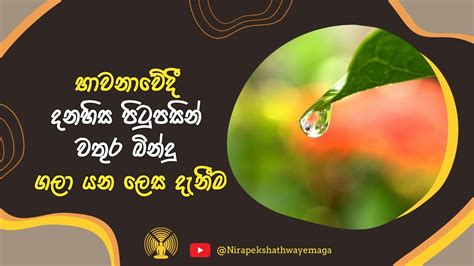 භාව්නාවේදී දනහිස පිටුපසින් වතුර බින්දු ගලා යන ලෙස දැනීම Youtube