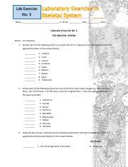 Skeletal System Lab Exercise.pdf - Lab Exercise No. 3 Name Yr. & Sec. Date Score Laboratory ...
