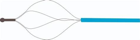 Stainless Steel Ercp Pancreatic Basket At Rs 1800piece In Chennai Id