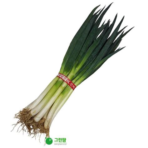 대파1단 약1kg 대파 쿠팡