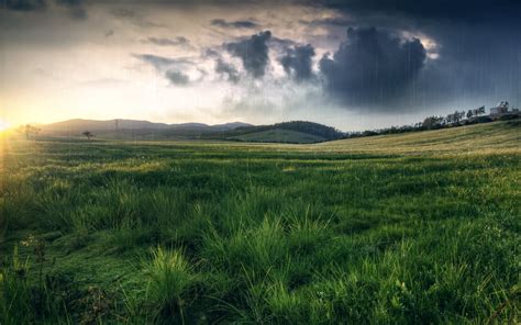Green Grass Field Hd Wallpaper Wallpaper Flare