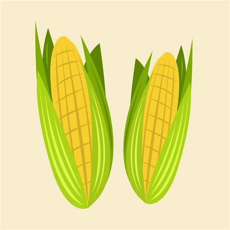 Sweet Corn Vector Illustration For Graphic Design And Decorative