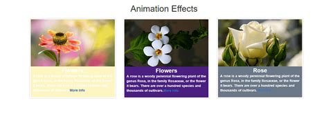 Bootstrap Background Animation Effect By W3hubs Medium