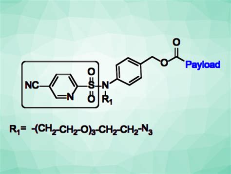 New Cleavable Linker Design For Targeted Drug Therapy Chemistryviews