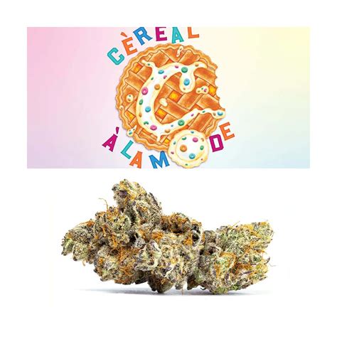 Cèreal à La Mode Strain Cookies Dispensary