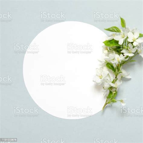 여름 신선한 꽃 프레임입니다 백서에 텍스트를 위한 공간입니다 Mockup 위에서 보기 이미지 0명에 대한 스톡 사진 및 기타