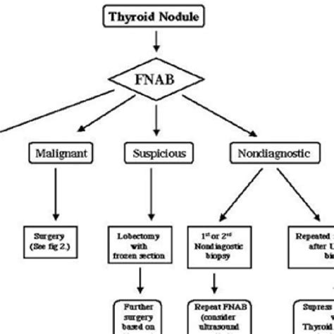 Thyroid Nodule With Taller Wider Dimensions Download Scientific Diagram