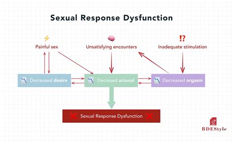 What Happens In Our Bodies During Sex The Sexual Response Cycles