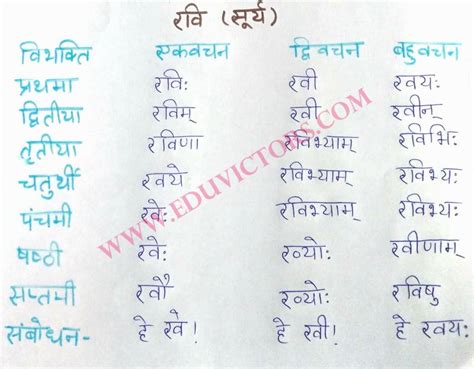 Cbse Papers Questions Answers Mcq Cbse Class