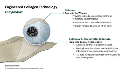 Integra® Dermal Regeneration Template
