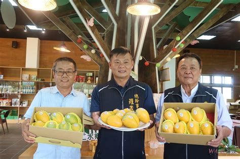 影／芒果界的lv！二水鄉農會成立農民直銷站夏雪芒果搶「鮮」登場 觀傳媒