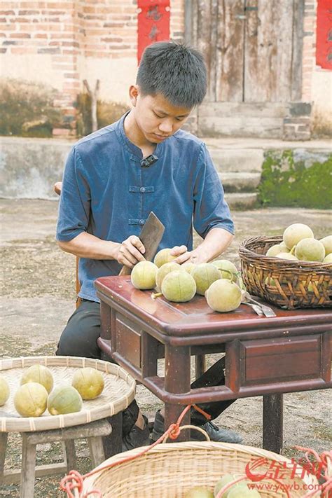 “90后”新农人廖志略：扎根家乡十载推动化橘红变“黄金果”