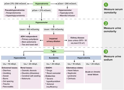Emergency Management Of Hyponatremia Em Cases