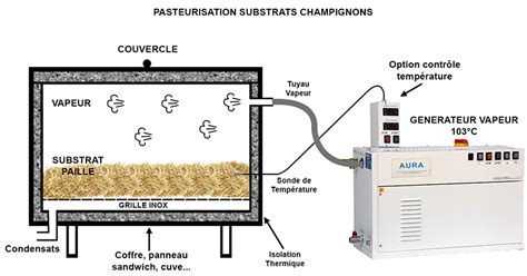 Fabriquer Votre CAISSON Pasteurisation Substrats Champignons