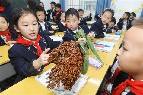安徽阜阳：珍惜粮食进校园迎“世界粮食日” 人民图片网
