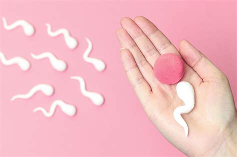 Innesteling Van Een Bevruchte Eicel Zwanger