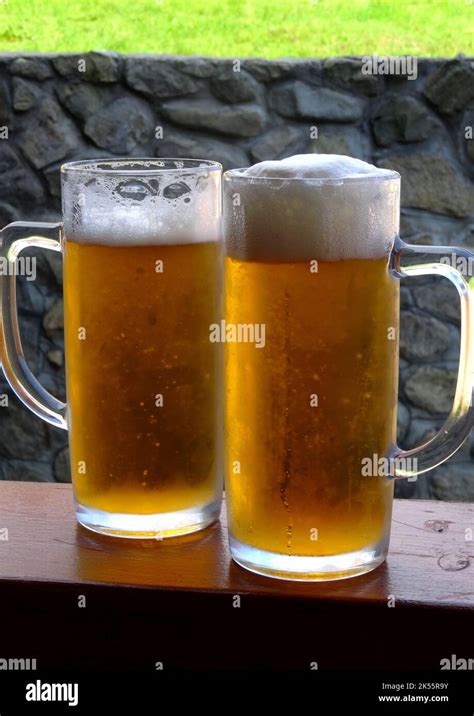 Tall Half Liter Glasses Of Light Chilled Beer With Cool Foam On A
