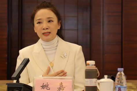 姚嘉 中国内地制片人出品人 搜狗百科