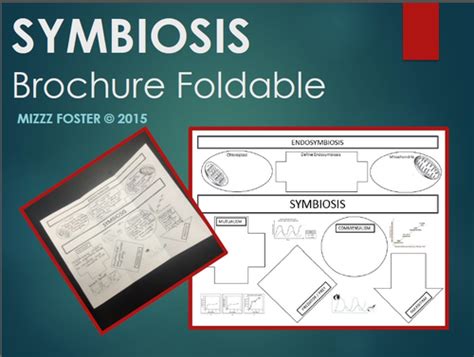 Symbiosis Brochure Foldable Graphic Organizer Interactive Notebook