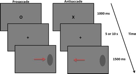 Flowchart Of Prosaccade And Antisaccade Trials In Short And Long Delay