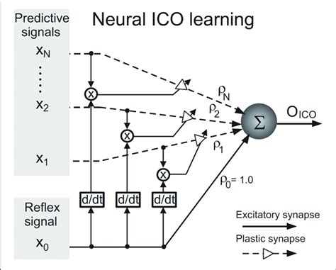 neural circuit for input correlation learning taken from manoonpong