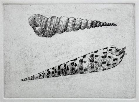 Etching From Nature Maine Media Workshops College