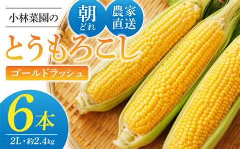 先行予約【小林菜園】農家直送！とうもろこし（ゴールドラッシュ）6本｜2025年8月上旬以降発送予定 長野県東御市 セゾンのふるさと納税
